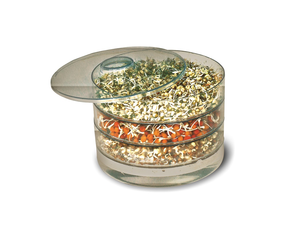 Everest Brand High Quality 3 Level Sprout Maker for Odorless Sprout ...