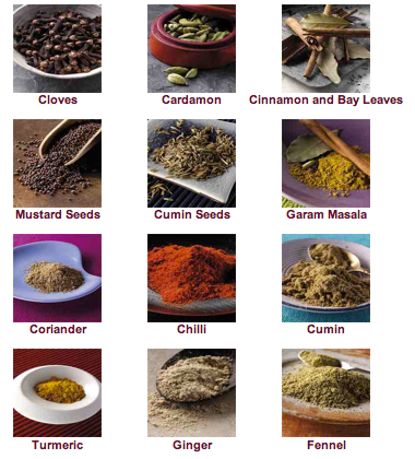 Pack of 13 Aromatic Authentic Essential Spices from India
