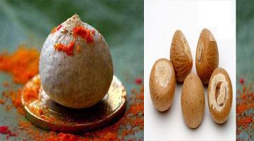 Good Quality Fresh Supari for Puja Purposes (Betel Nut) #28685 ...