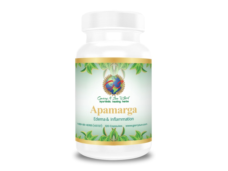 Apamarga Ayurvedic Respiratory Support 120 Veg Caps #47902 | DesiClik ...