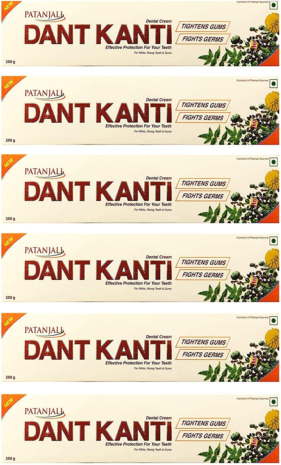 Dant Kanti Toothpaste 200 Gm (Pack of 6) #58704 | DesiClik.com, USA
