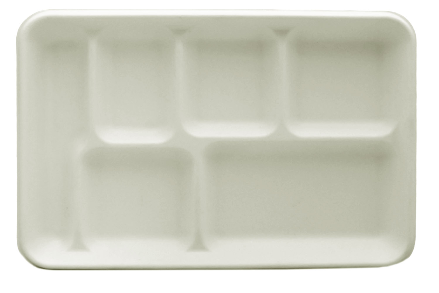 Eco-Friendly 6 Compartment Thali Biodegradable White Plates - 100 Pack ...
