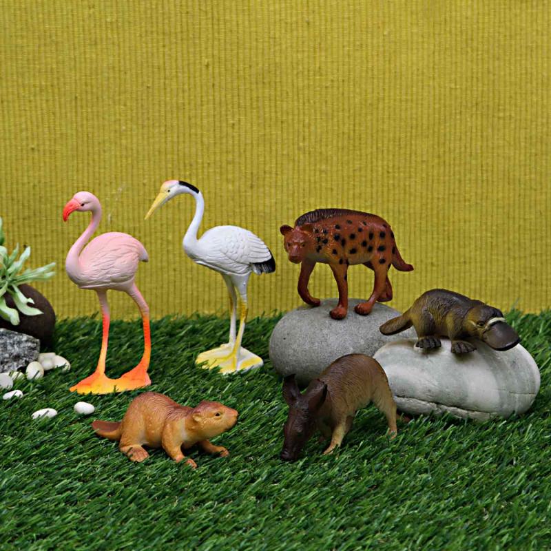 6 Pcs World Birds & Animal Set #42326 | DesiClik.com, USA