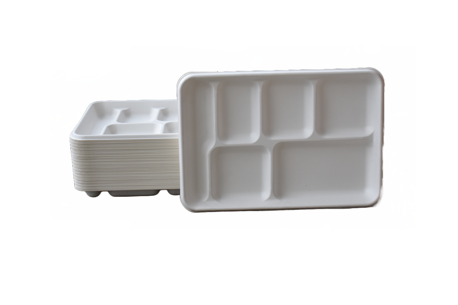 Eco-Friendly 6 Compartment Thali Biodegradable White Plates - 100 Pack ...