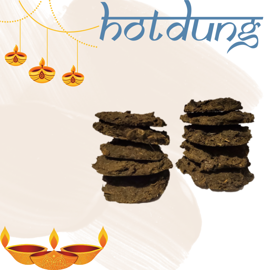 10 Cow Dung Cake Pack Puja Havan Agnihotra #56623 | DesiClik.com, USA