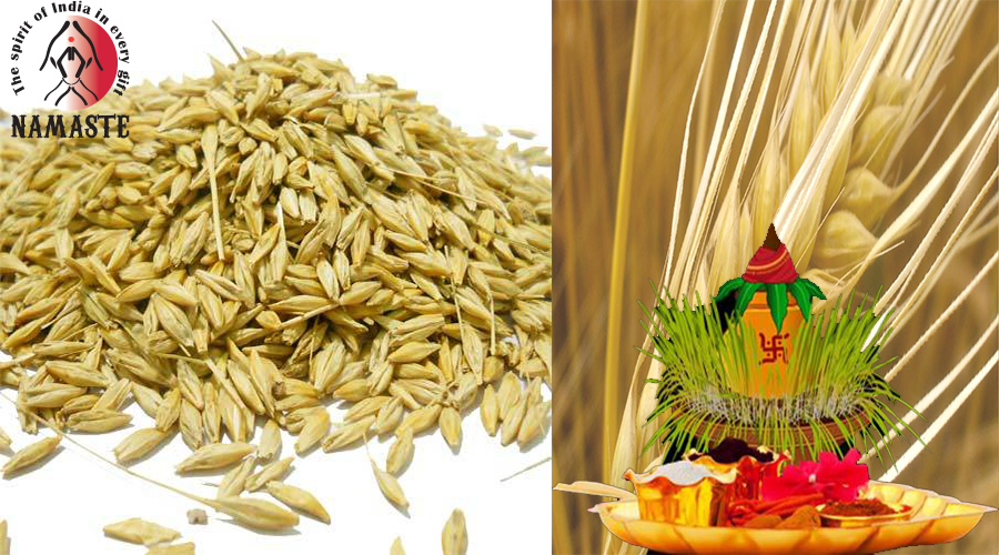 All Natural Jau / Barley Grains for Puja Purpose #28686 | DesiClik.com, USA